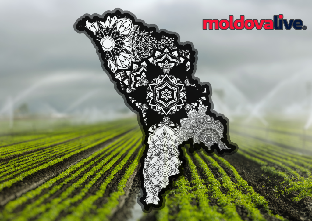 Moldova Secures €55 Million for Agricultural Advancements in Livestock ...